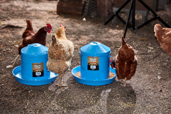 Galvanized Painted Poultry Feeder | Miller Manufacturing Company
