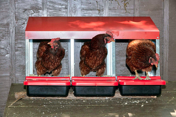 Double Galvanized Nesting Box with Plastic Basket | Miller ...