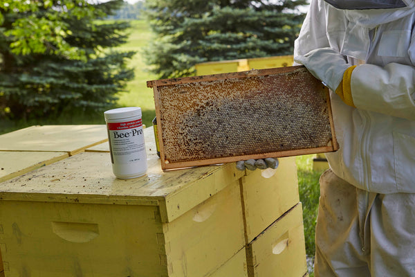 Beekeeping Feeder Kit | Miller Manufacturing Company